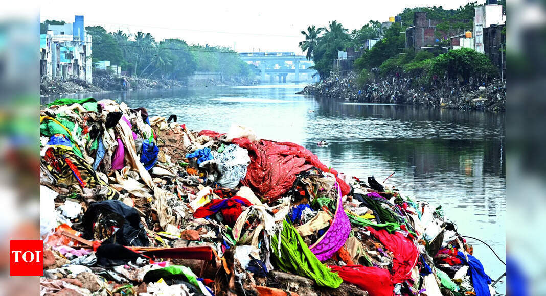 Adyar River Desilt Project: 11 Crore Project To Desilt Adyar River ...