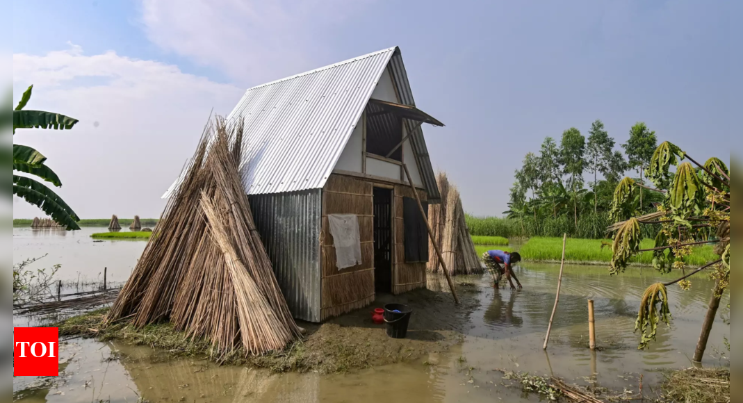 Bangladesh's 'tiny houses' tackle giant flood challenge - Times of India