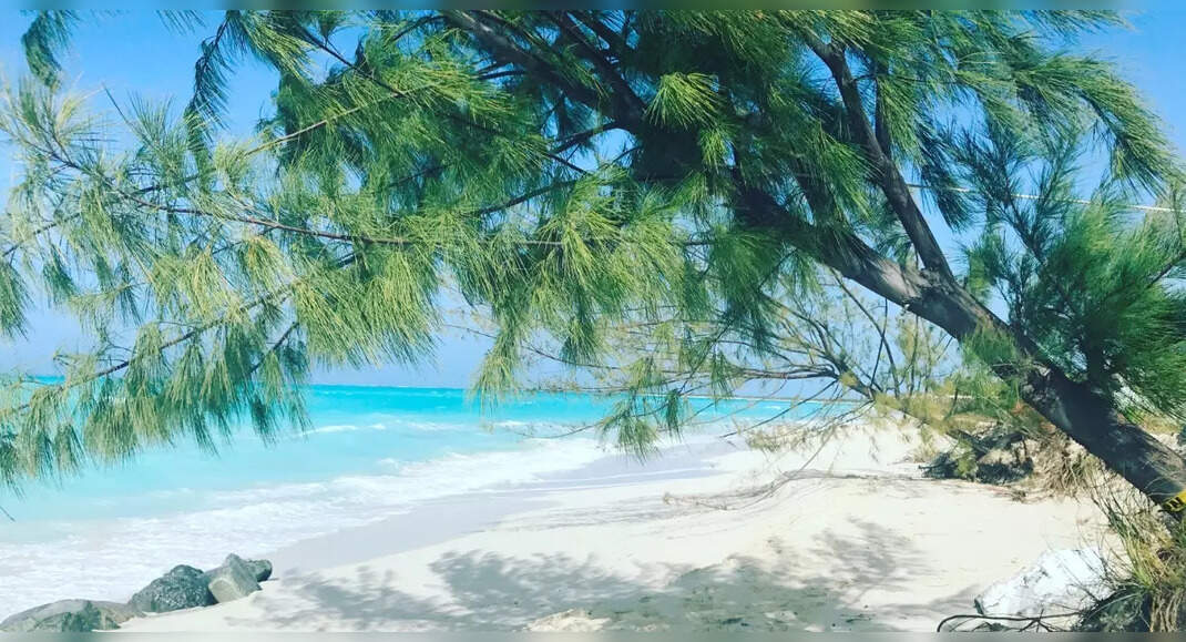 Most beautiful white sand beaches in the world for 2024! | Times of ...