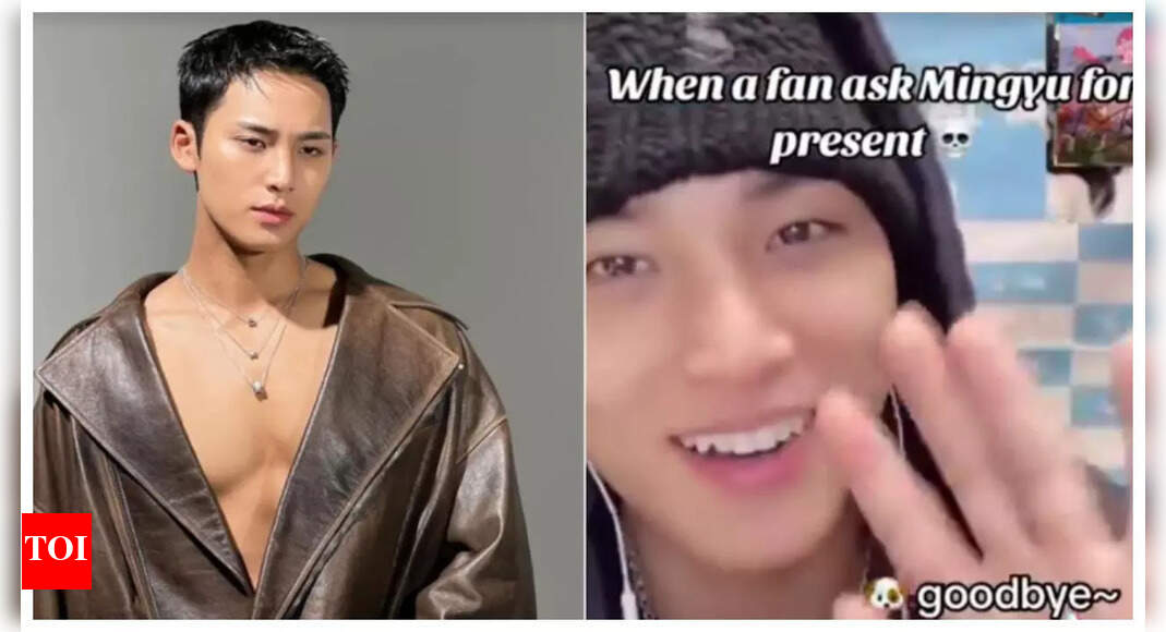 SEVENTEEN's Mingyu swiftly shuts down inappropriate question, ends fan video call | K-pop Movie ...