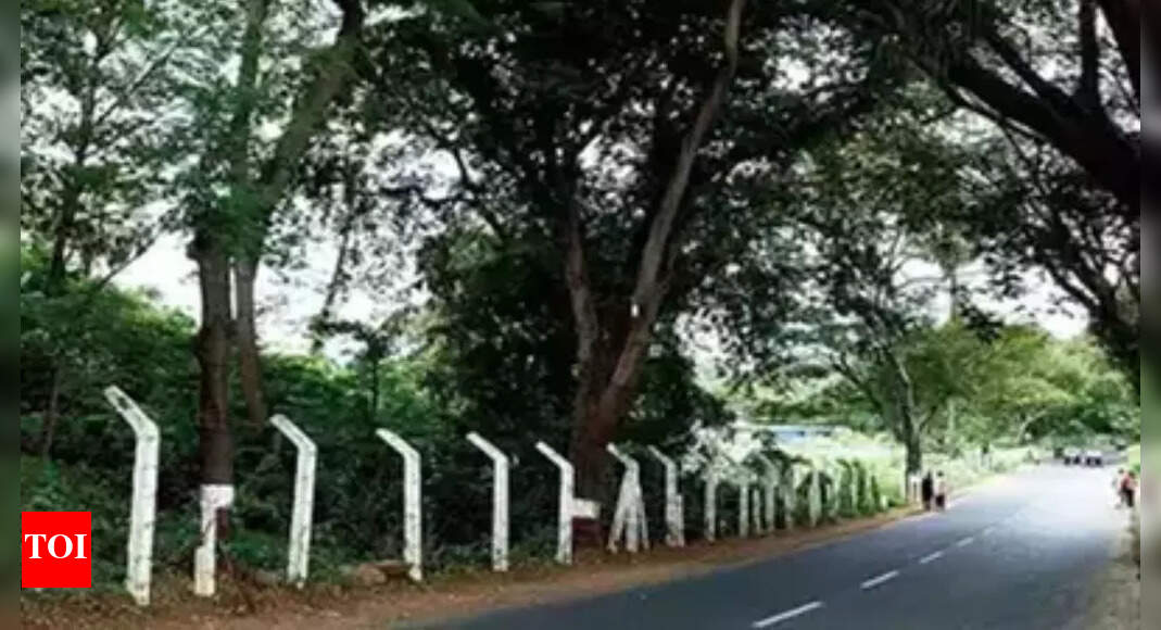 Space wars in Aarey colony: It's Maharashtra govt vs BMC vs greens ...