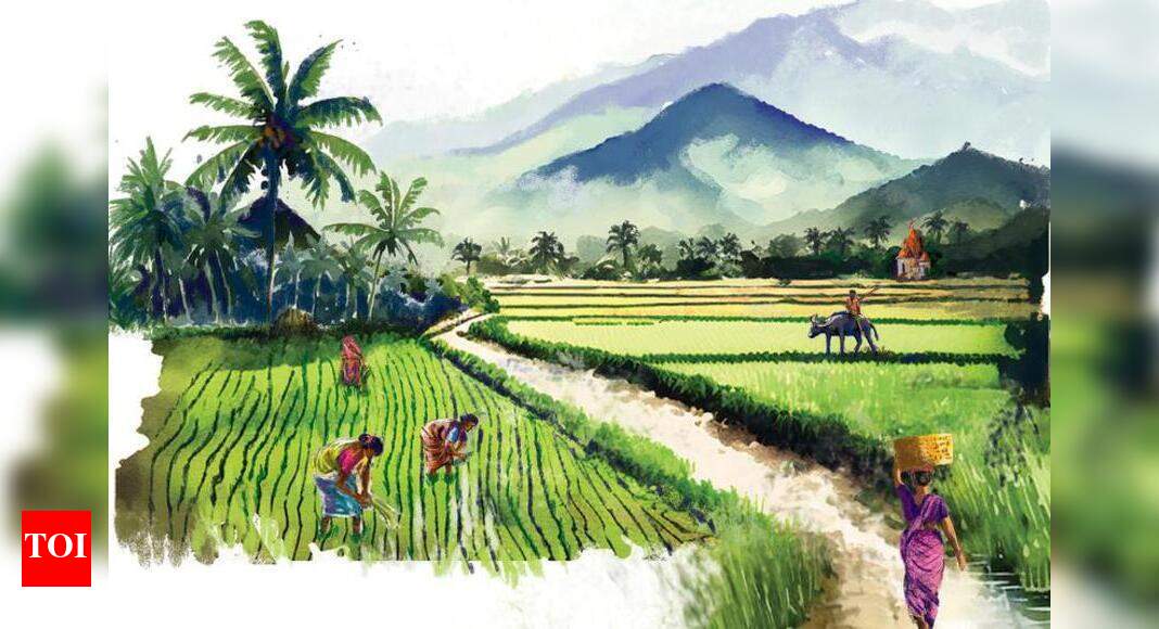 WHAT IT MEANS TO BE A GOAN… | Goa News - Times of India