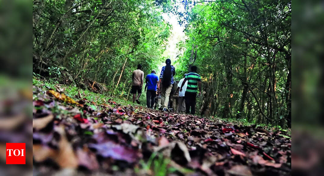 Students: Nine Students Lost in Kankumbi Forest: Rescued by Karnataka ...