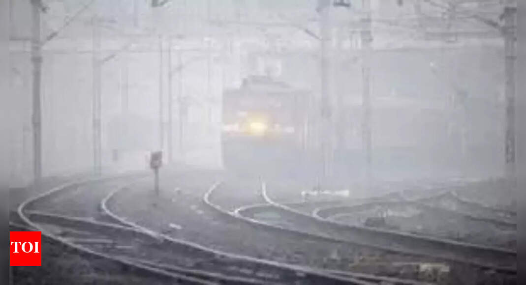 Dense fog grips Delhi; 23 trains running late | Delhi News - Times of India
