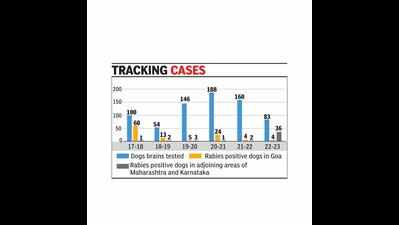 First human death due to rabies in state in five years | Goa News ...