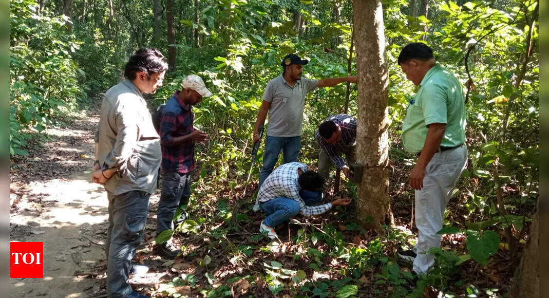 Tigress: Operation to rescue snared tigress launched after actor’s plea ...