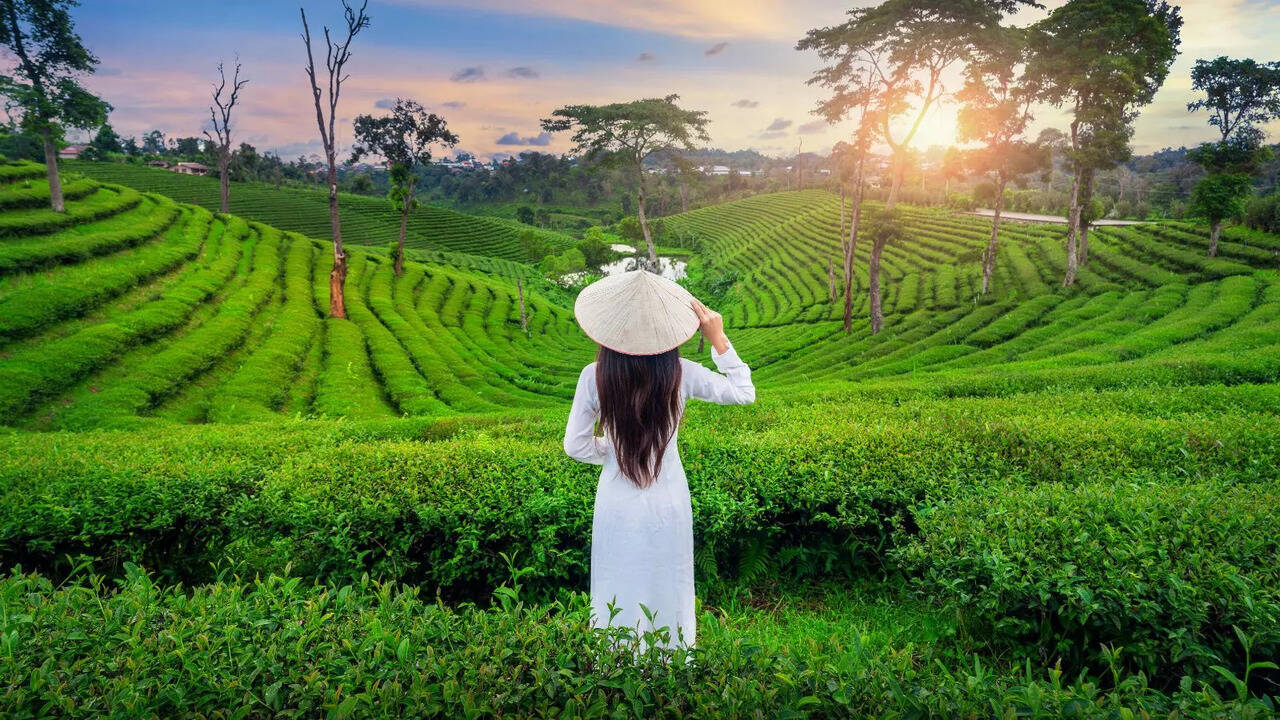 7 Spectacular Weekend Getaways Near Kerala For Unforgettable Escapes