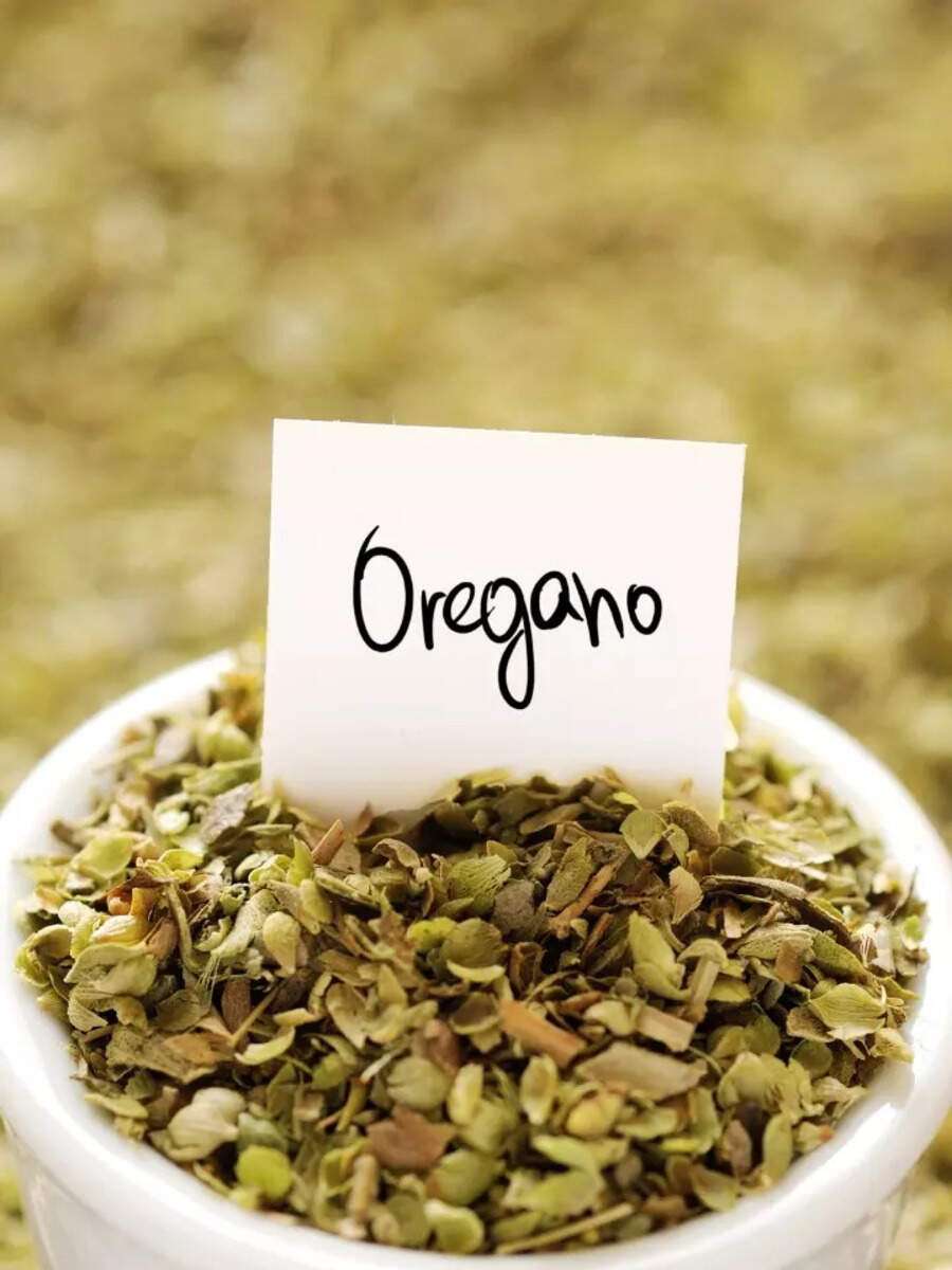 10 ways to use oregano in daily cooking | Times of India