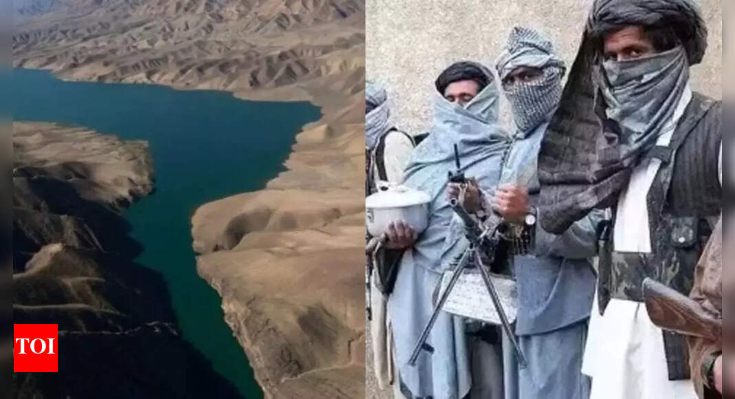 Pakistan Arrests: Pakistan arrests nearly two dozen members of outlawed ...