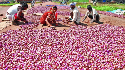 Government: Govt procures 25,000 tonnes of kharif onion so far for buffer stock | India News ...