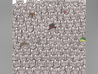 Only true cat lovers can spot a cat's face under 7 seconds - Times of India