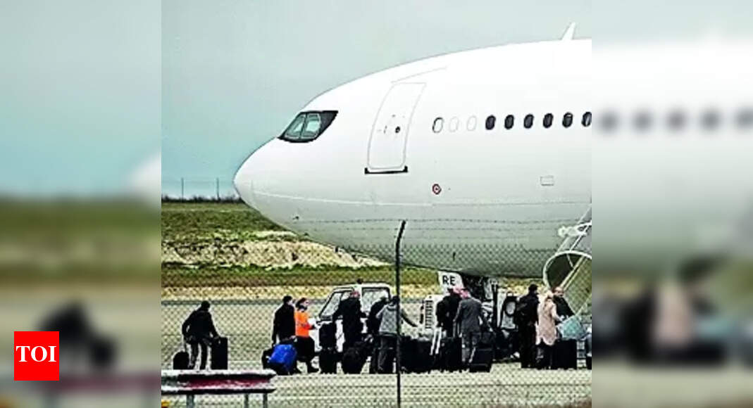 Unescorted 2-year-old adds to 'donkey flight' mystery | Ahmedabad News ...