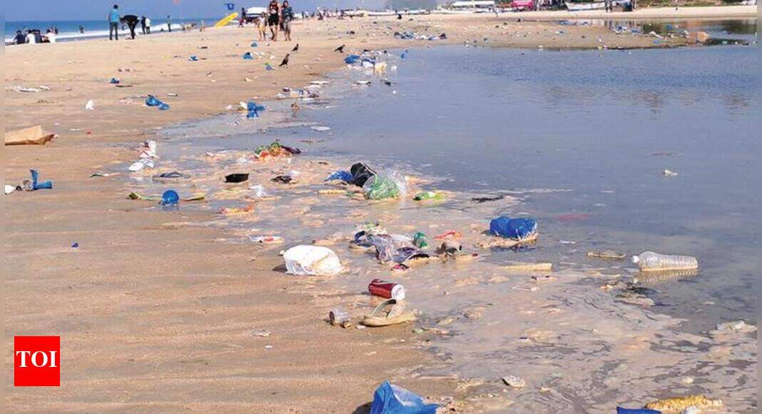 Year-end parties make Salcete coast a plastic wasteland, beaches ...