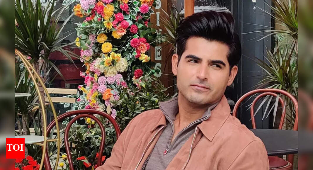 Exclusive: Pyaar Ka Punchnama 2 actor Omkar Kapoor on doing TV show ...