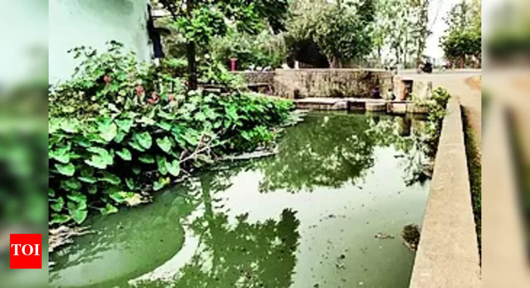 Sewage: Sewage from housing society entering Rankala lake: Activist ...