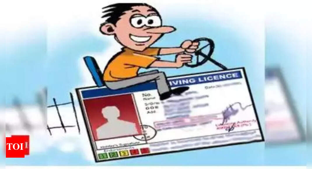 Students And Job Seekers Drive Demand For Int’l Driving Permits | Noida ...