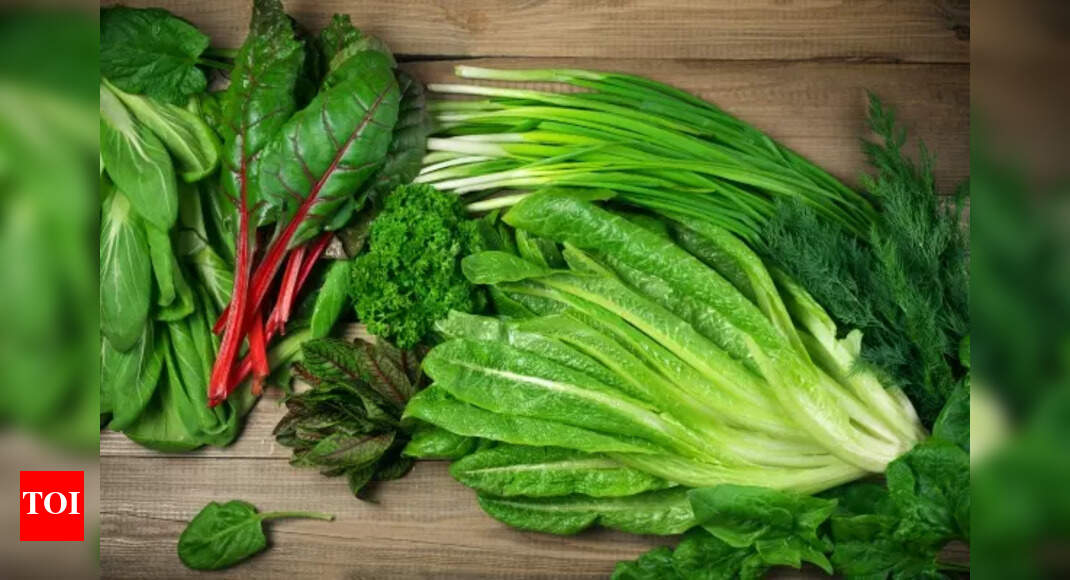 Tips to store green leafy vegetables in winter season - Times of India