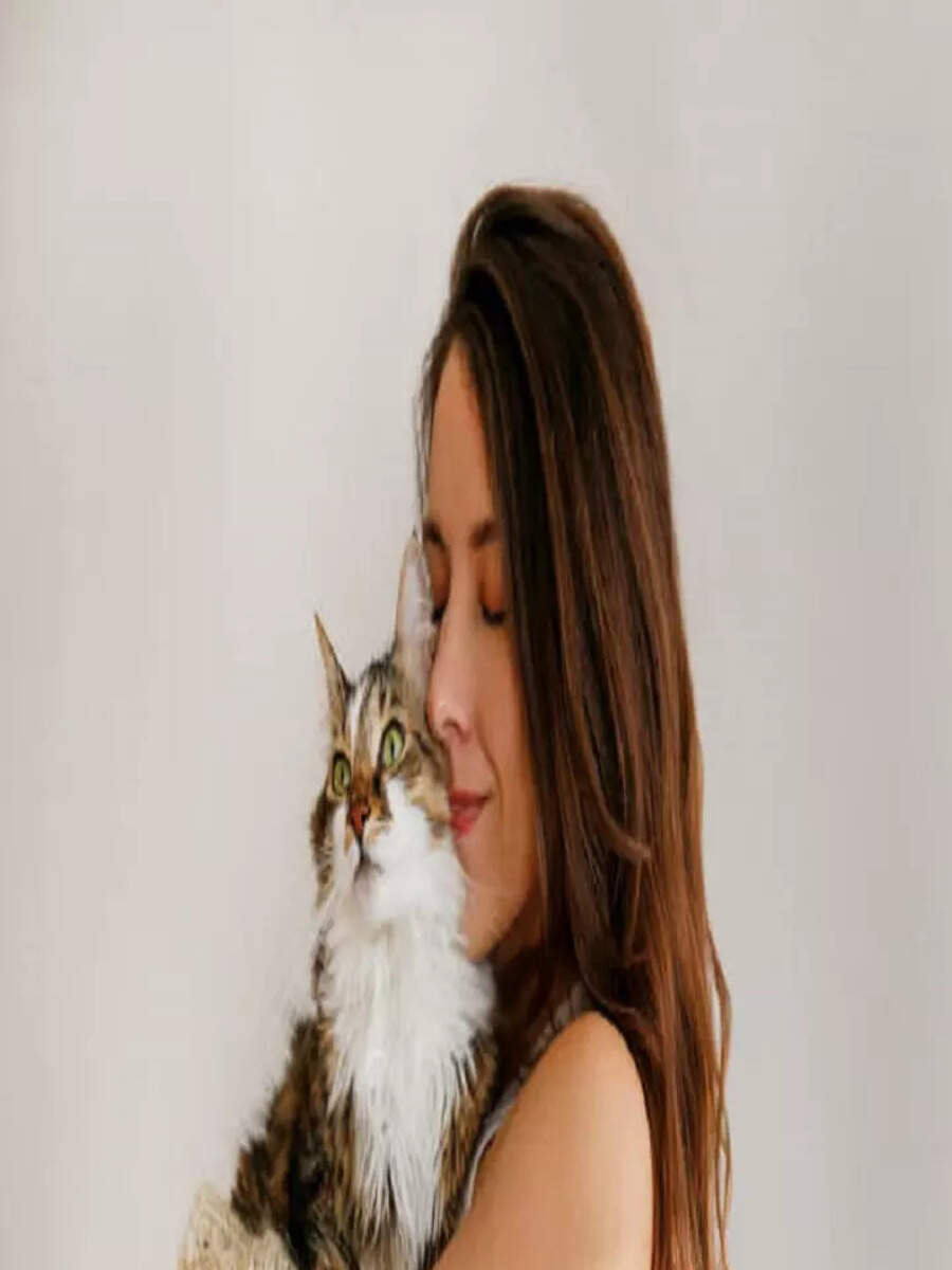 Know Which is the Most Compatible pet as Per Your zodiac Sign | Times Now