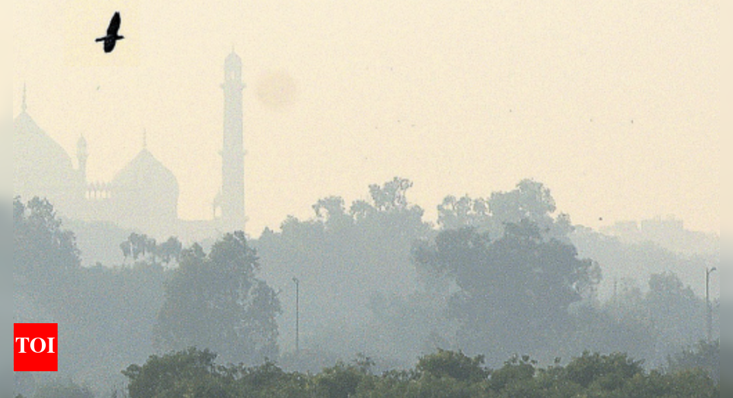 After seven years, 2023 bucks the declining trend in PM2.5 in Delhi | Delhi News - Times of India