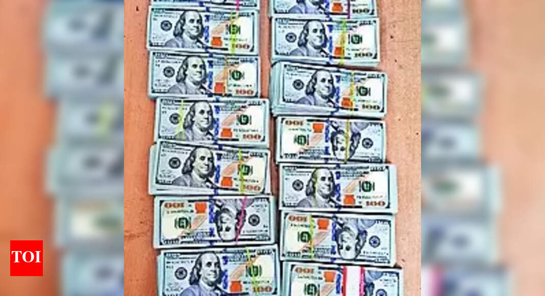 Indo Bangla Border 1 4 Cr In Dollars Seized Near Indo Bangla Border