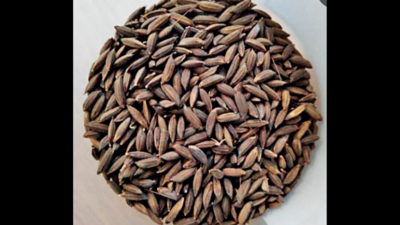 GI Tag: Honey, Tangail, Garad among 5 more state products to get GI tag ...