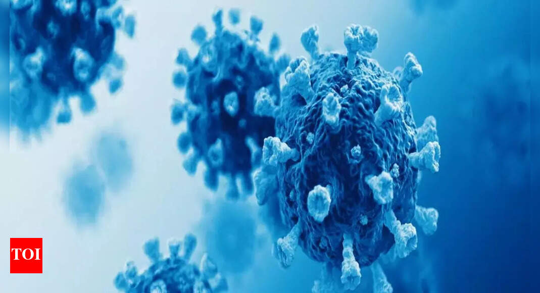 619 cases of Covid sub-variant JN.1 reported from 12 states till ...