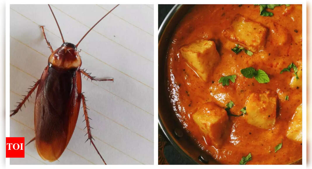 Woman finds cockroach in meal, harassed by hotel staff for filming it ...