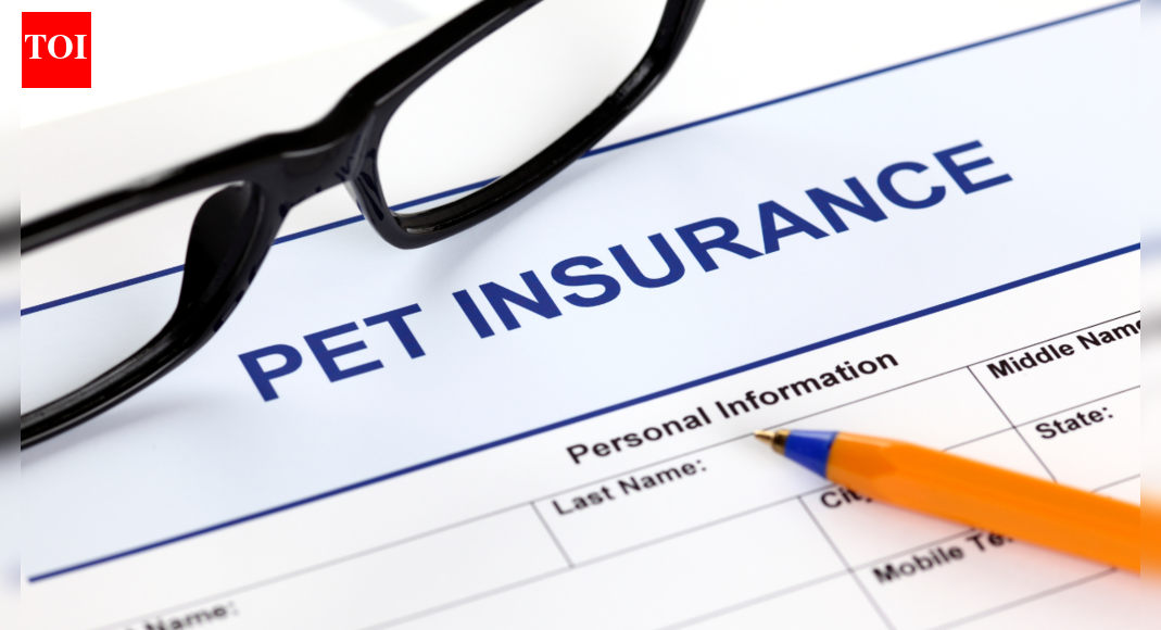 Pet Insurance: Choosing the Right Pet Insurance - A Smart Guide | - The ...