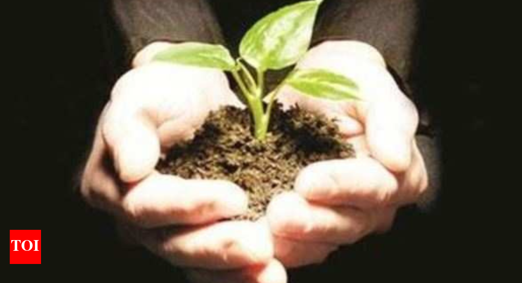 Tree Plantation: Tata Power and ICICI Foundation Launch 'Project ...