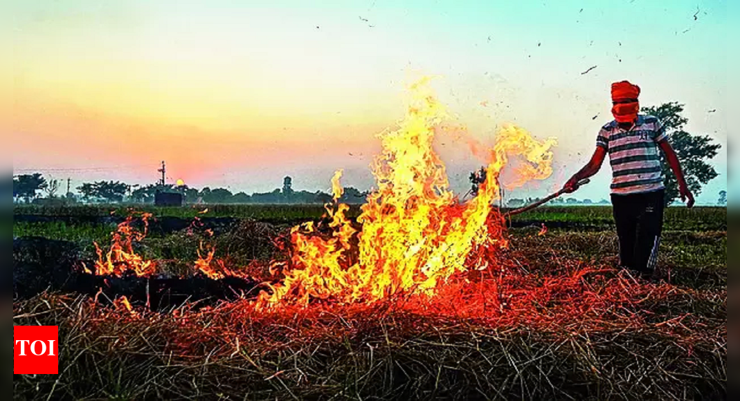 Stubble Burning: Study: Repeated Stubble Burning Linked to Lung Cancer ...