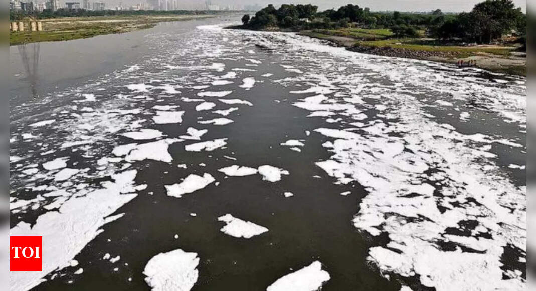 Yamuna Pollution: Investigation ordered on 'red' industries polluting ...