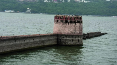 Wetland tag puts Bhopal lakes on global map | Bhopal News - Times of India