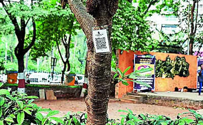 QR Codes: QR Codes on 2,000 Trees in Thane to Provide Biodiversity ...