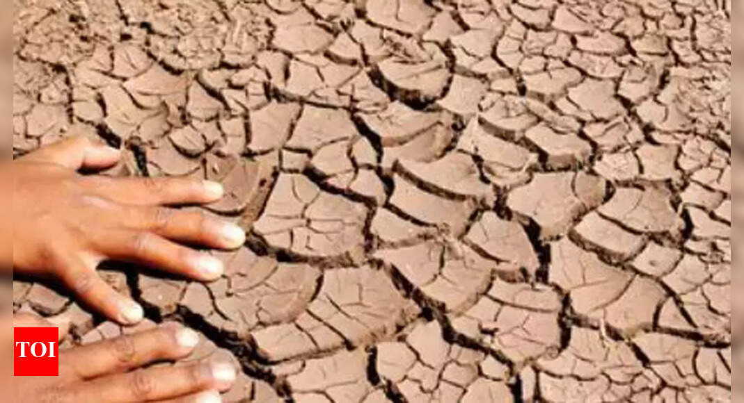 Karnataka govt releases Rs 105 crore to help drought-hit farmers ...
