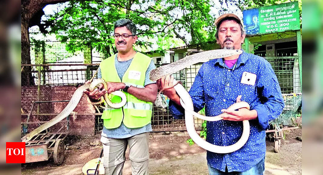VOC Park Zoo: 17 Snakes Released from VOC Park Zoo; Deer and Pythons ...