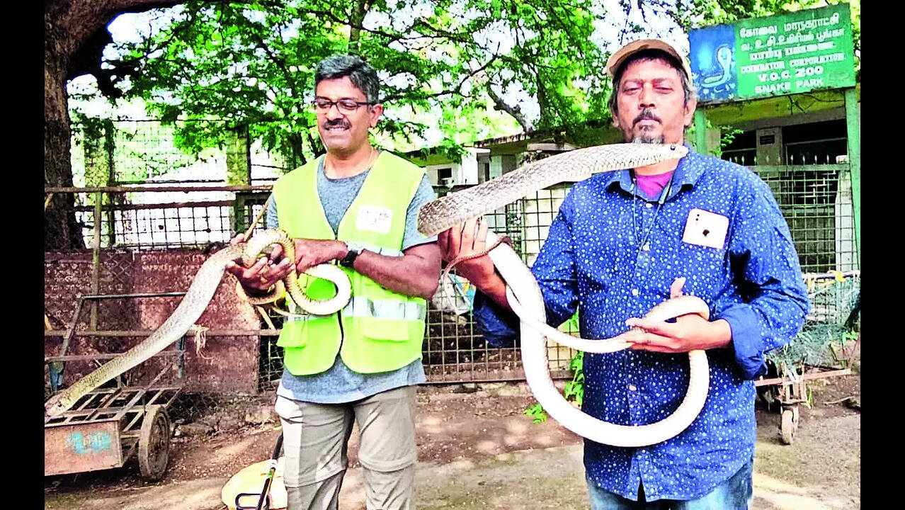 Voc park and zoo animals and attractions - Xalam.blog