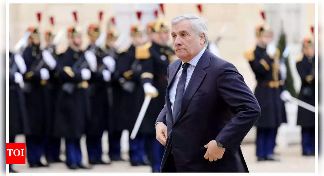 Italian foreign minister calls for formation of EU army - Times of India