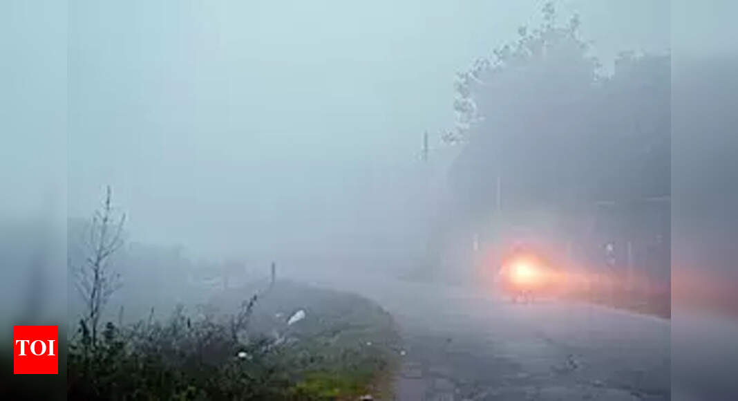 Lucknow Weather News: After sunshine of relief, dense fog to make a ...