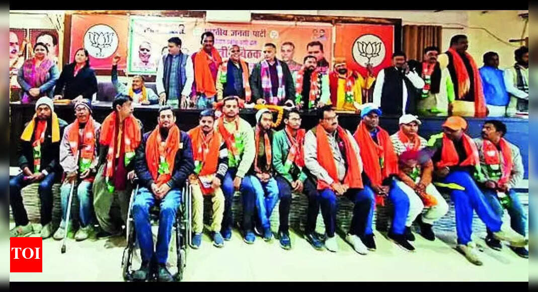 Ayodhya Ram temple design is disabled-friendly | Varanasi News - Times ...