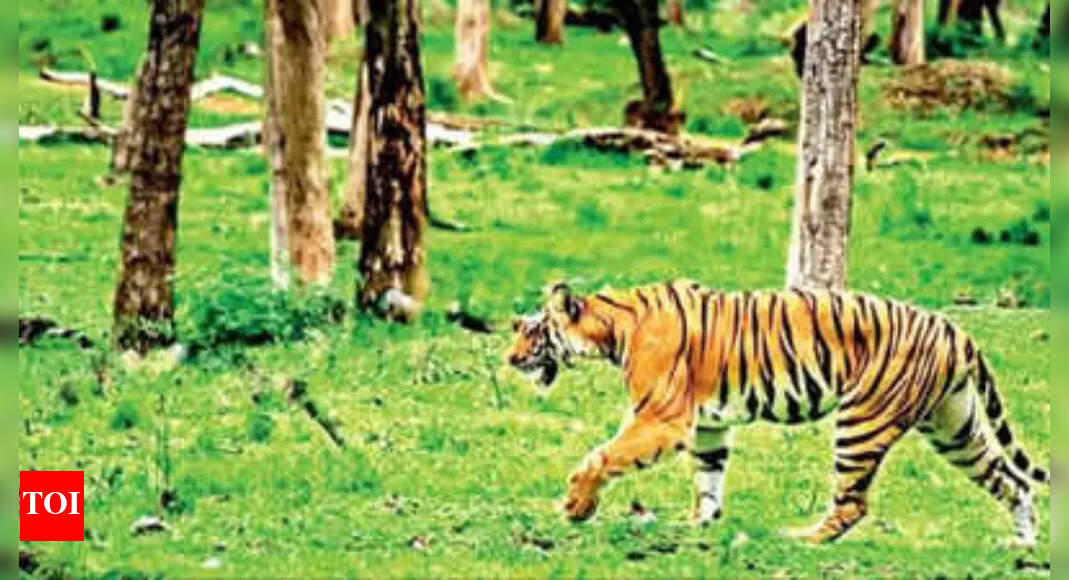Government of Maharashtra declares new Atpadi Conservation Reserve in ...