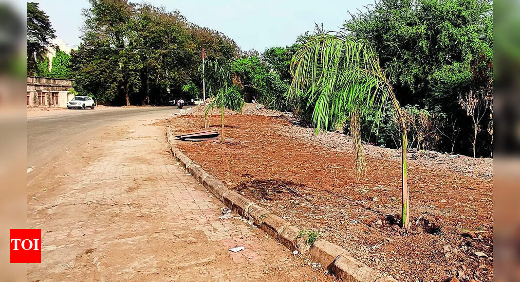 KMC Converts Roadside Garbage Dumping Spot: KMC converts roadside ...