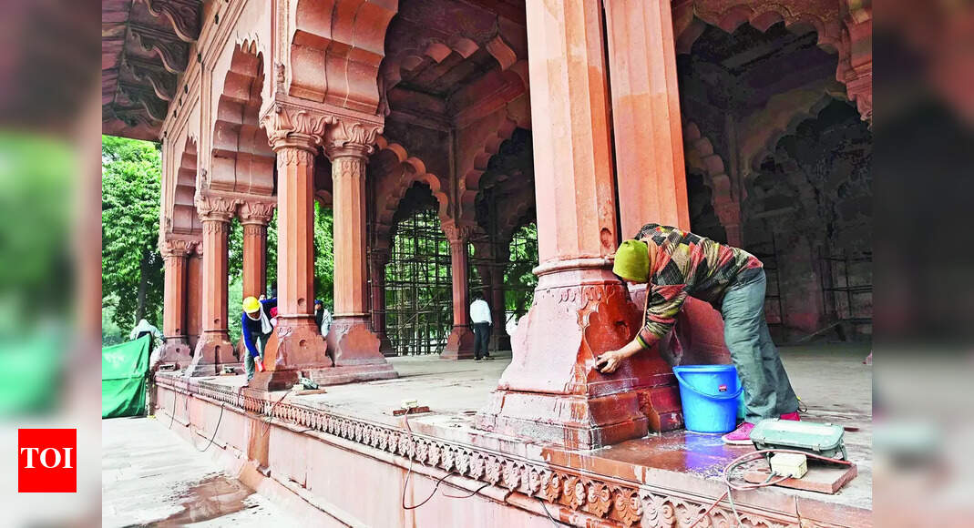 Diwan-I-Am: ASI hears Diwan-i-Am’s appeal for revamp | Delhi News ...