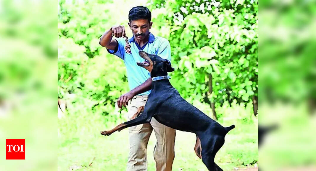 Jhansi Haveri: Farewell to Jhansi Haveri: A Dedicated Police Dog ...