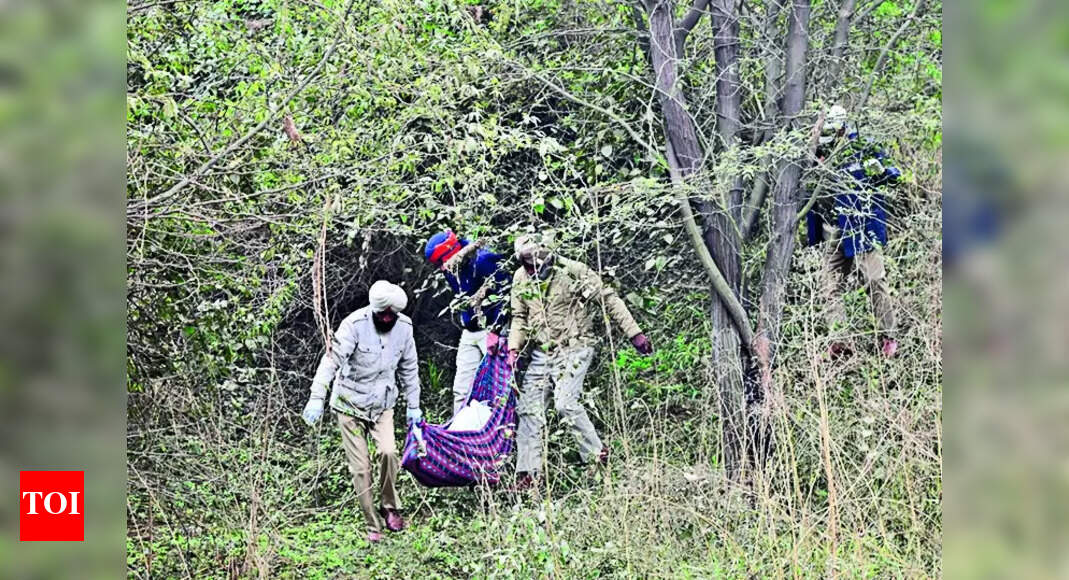 Headless Bodies: Headless Bodies of UP Migrants Found on Railway Tracks ...