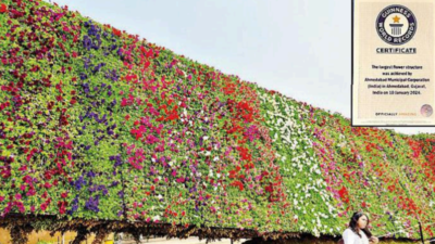 Flower Wall: 221-metre Flower Wall Sets Guinness World Record ...