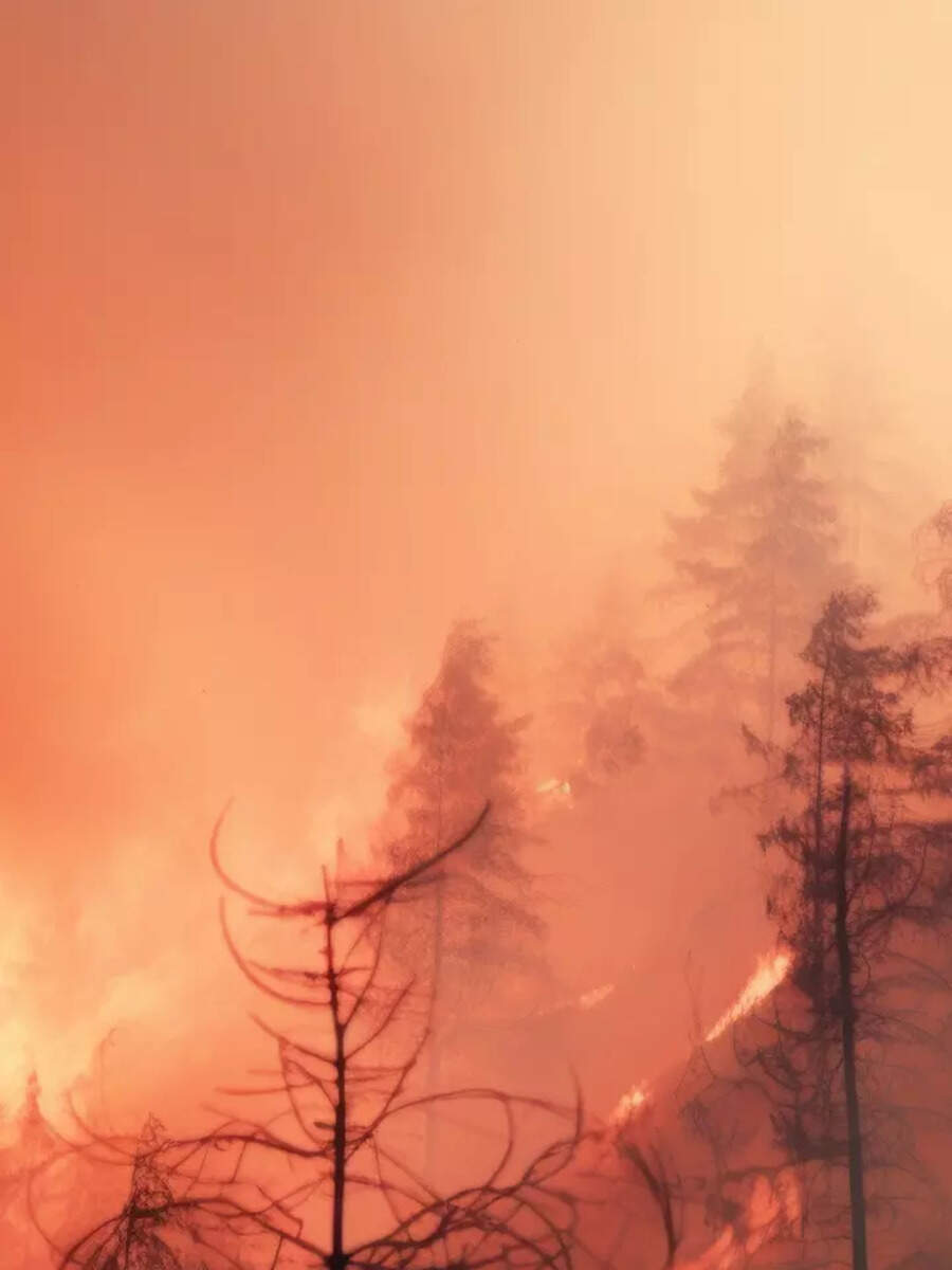 10 biggest natural calamities of history | Times of India