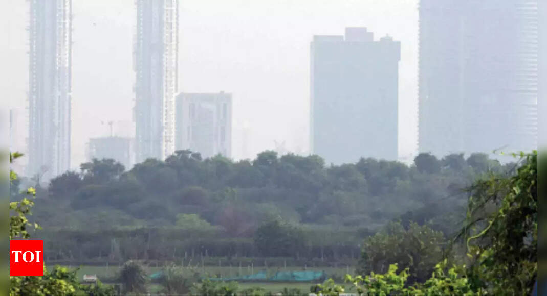 Wind speed slows down, AQI back to 'very poor' | Noida News - Times of ...