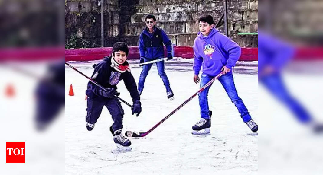 Shimla Development Plan: Sc Oks Shimla Devp Plan, Quashes Ngt Order On ...