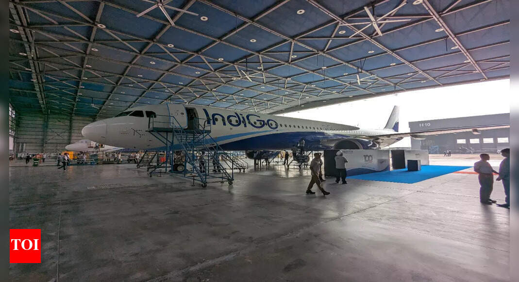 'Foreign planes will come to Nagpur for major checks now:' Indamer's ...