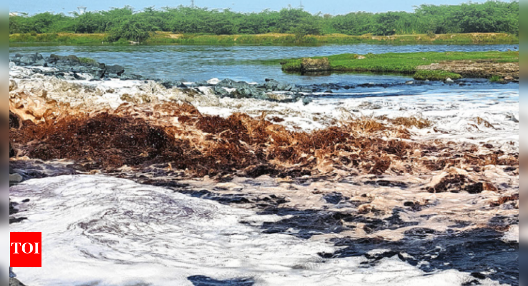 Drone survey of Sabarmati shows 20 polluting outfalls in Ahmedabad ...